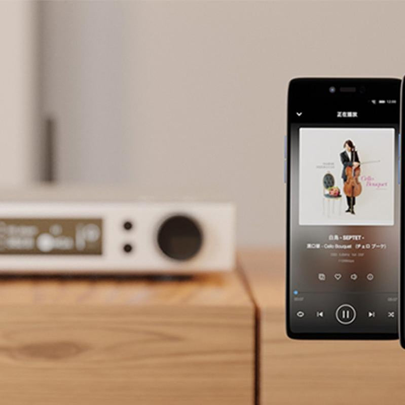 Matrix DSD DXD DAC & Headphone Amplifier — HiFiGo