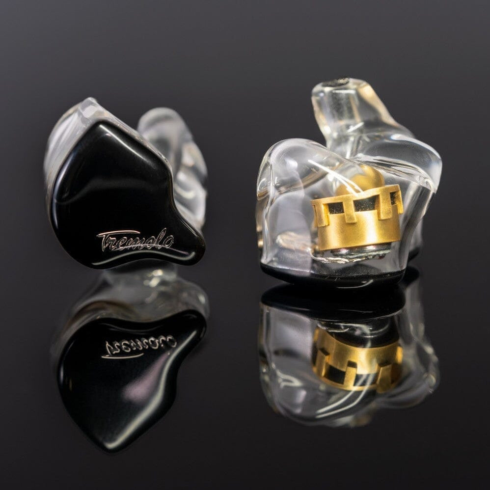 Customized IEMs — HiFiGo